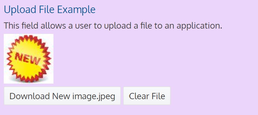 Fields - Upload File